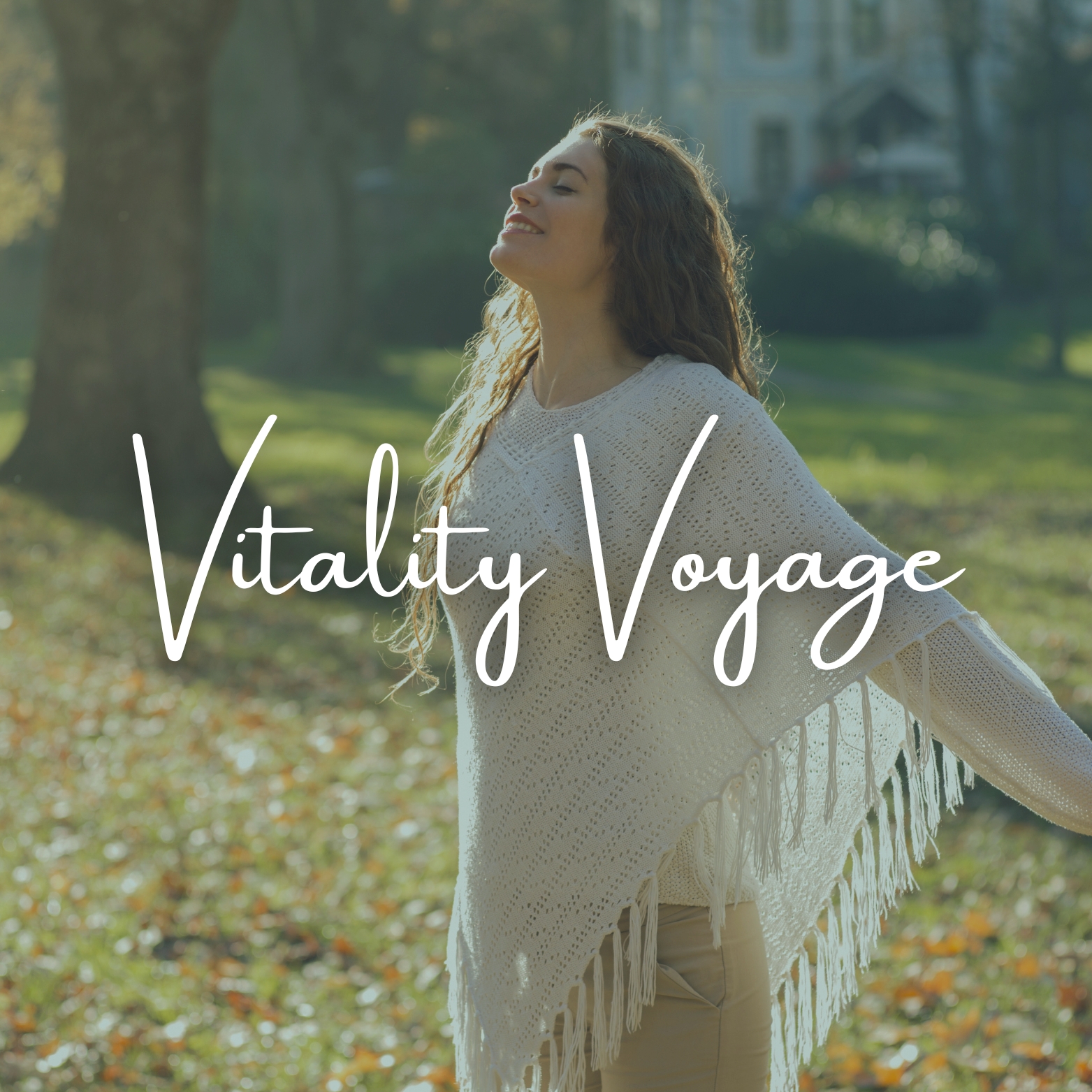 Vitality Voyage Program | Wellness & Recovery | ELEV8 Consulting Australia